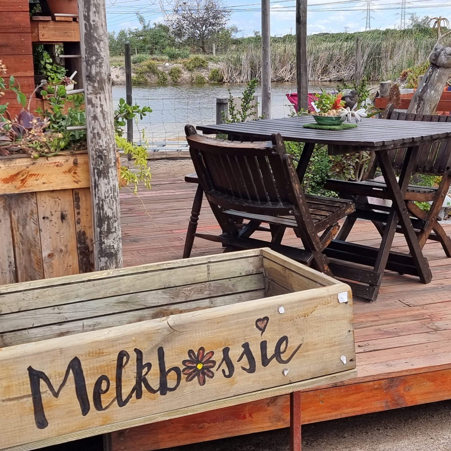 Melkbossie – Farm Animal Sanctuary